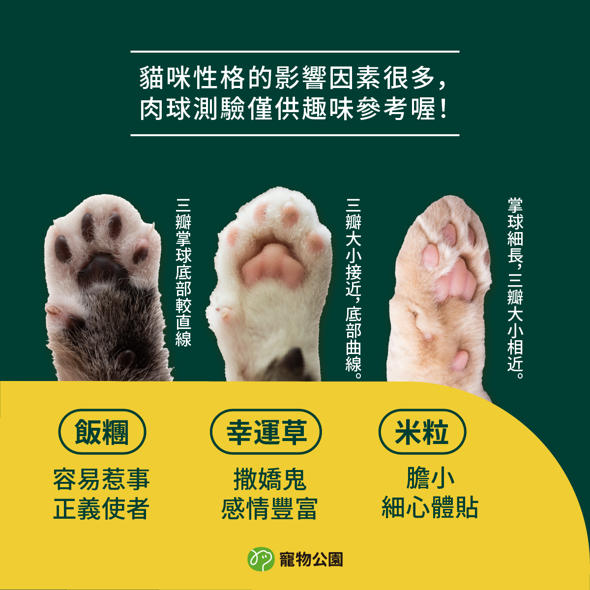 貓奴決勝題！貓奴肉球知識王 | 寵物公園PetPark